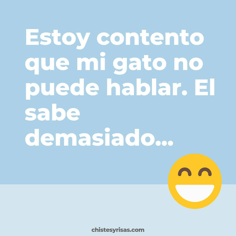 65+ Chistes de Contento Muy Graciosos - Chistes Y Risas