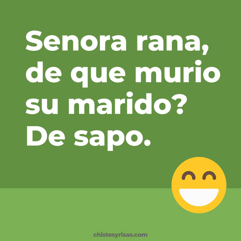 21 Chistes De Ranas Muy Graciosos Chistes Y Risas