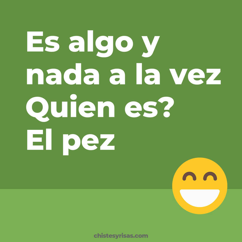 65+ Chistes de Variados Muy Graciosos - Chistes Y Risas